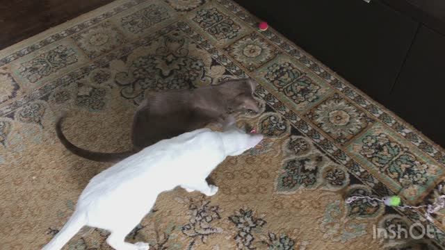 Розовая мышь… подарок Филимону на 11 месяцев д/р