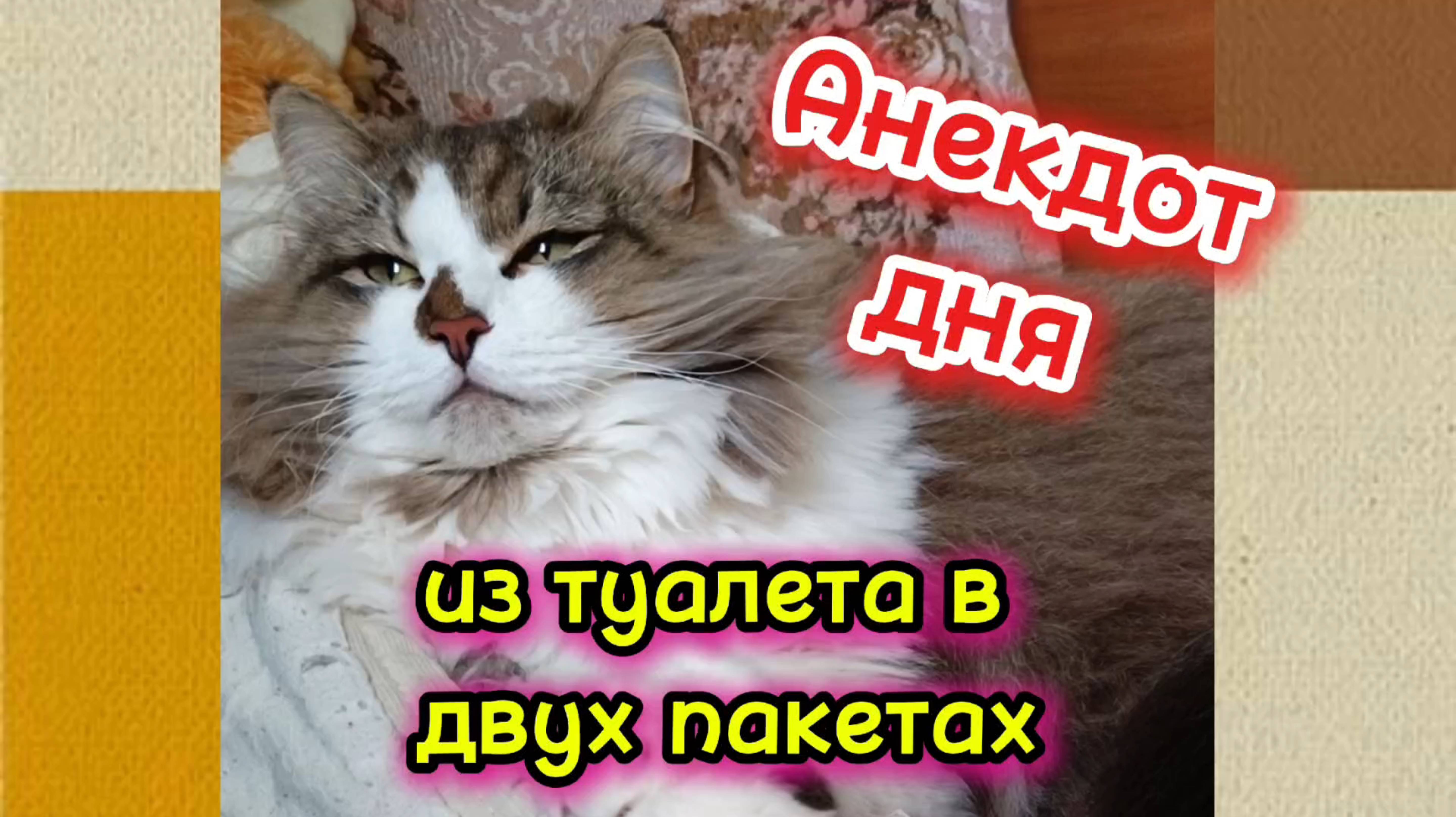 Анекдот дня.