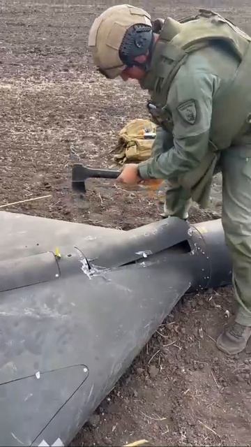 Тарас подивися що там є 💥