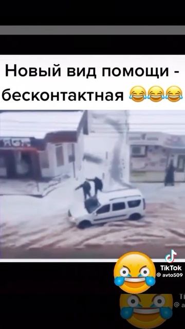 мемы