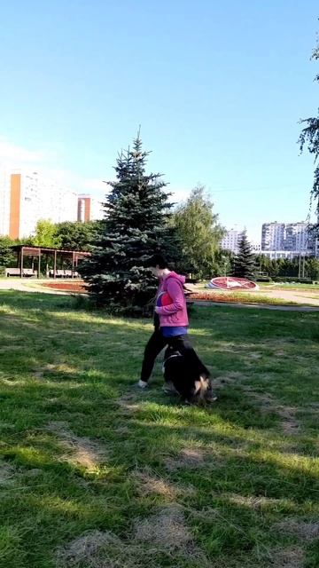 АО Барри - вольт, барьер, совместные движения
