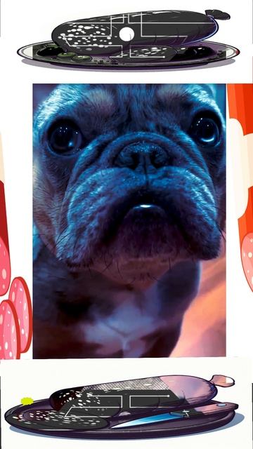 музыка видео юмор мультик кот Матроскин дядя Фёдор