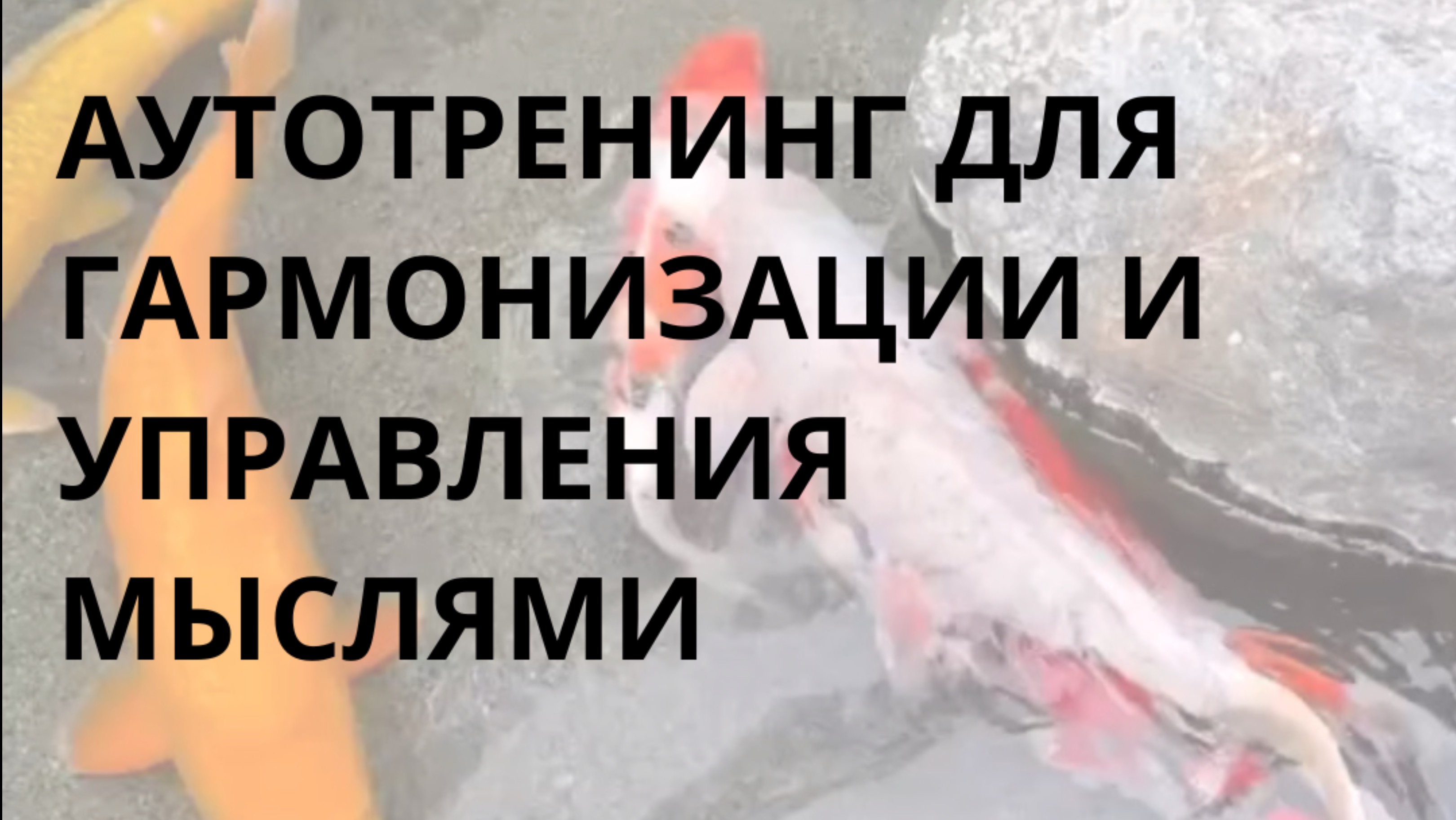 Аутотренинг для гармонизации и управления мыслями