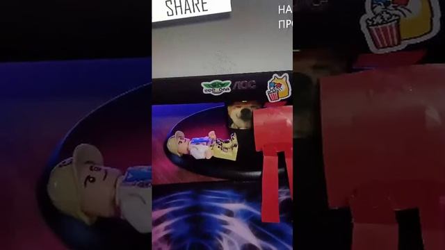 Играем в тачки