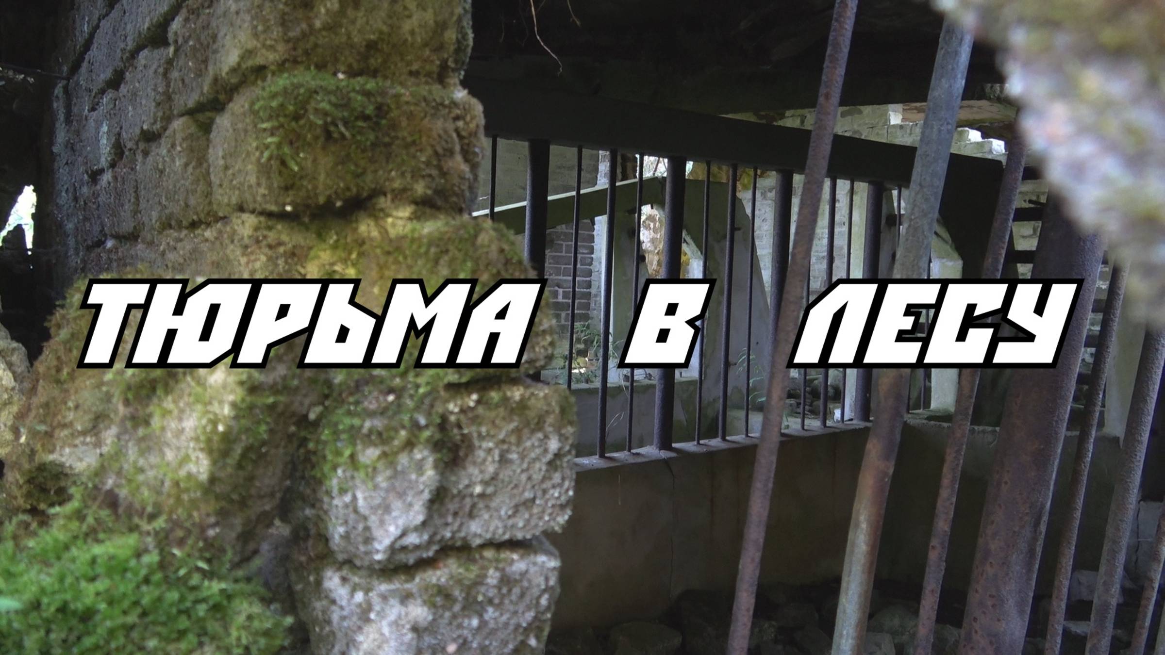 Тюрьма в лесу. Разбросанные кости. Бетонный бункер. Находки с металлоискателем
