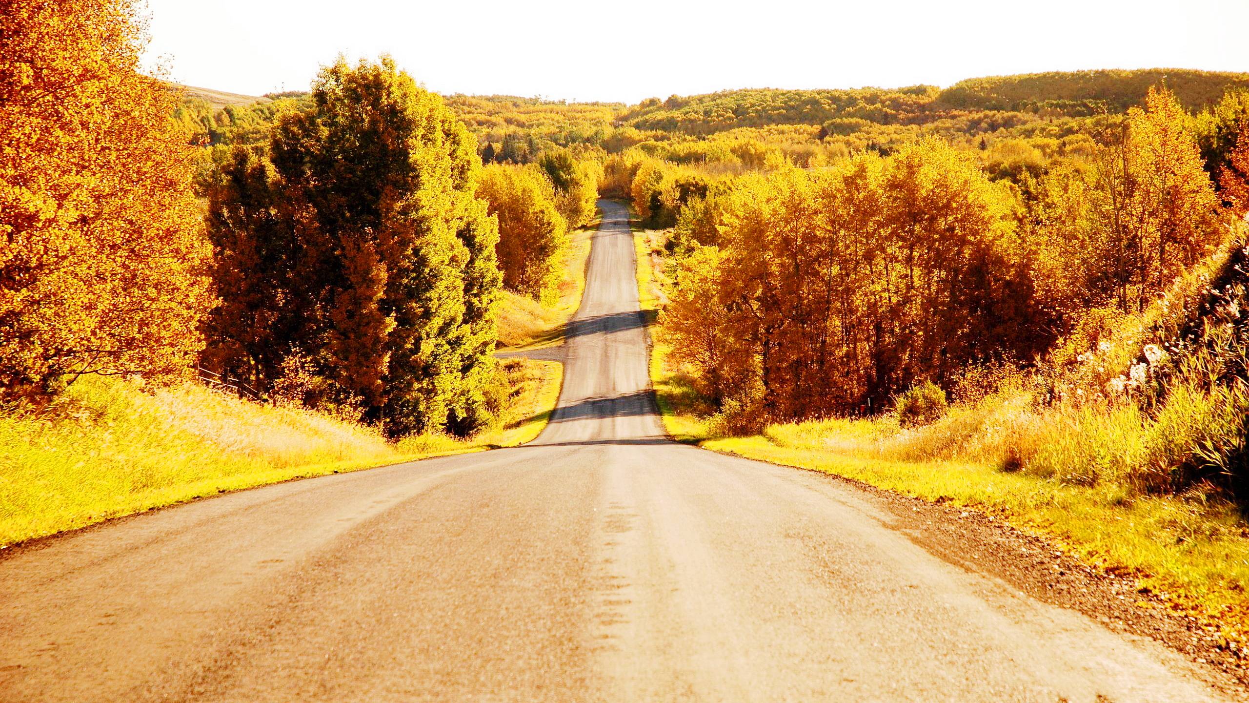 Рыжая подруга осень я один