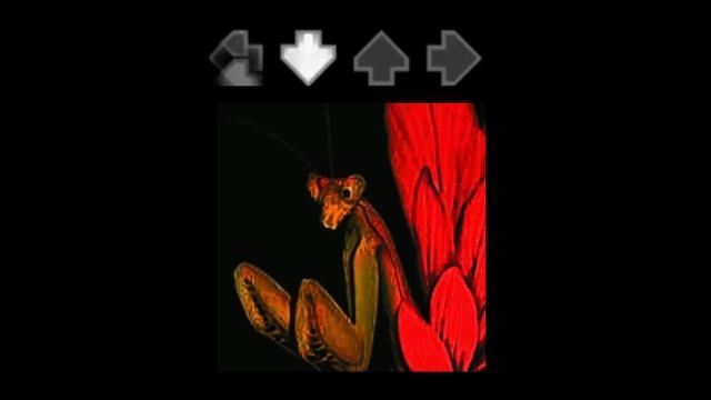 Dead air: Mantis V2