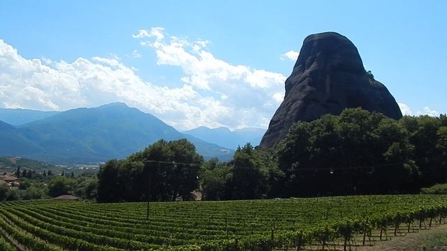 Виноградники под скалами!