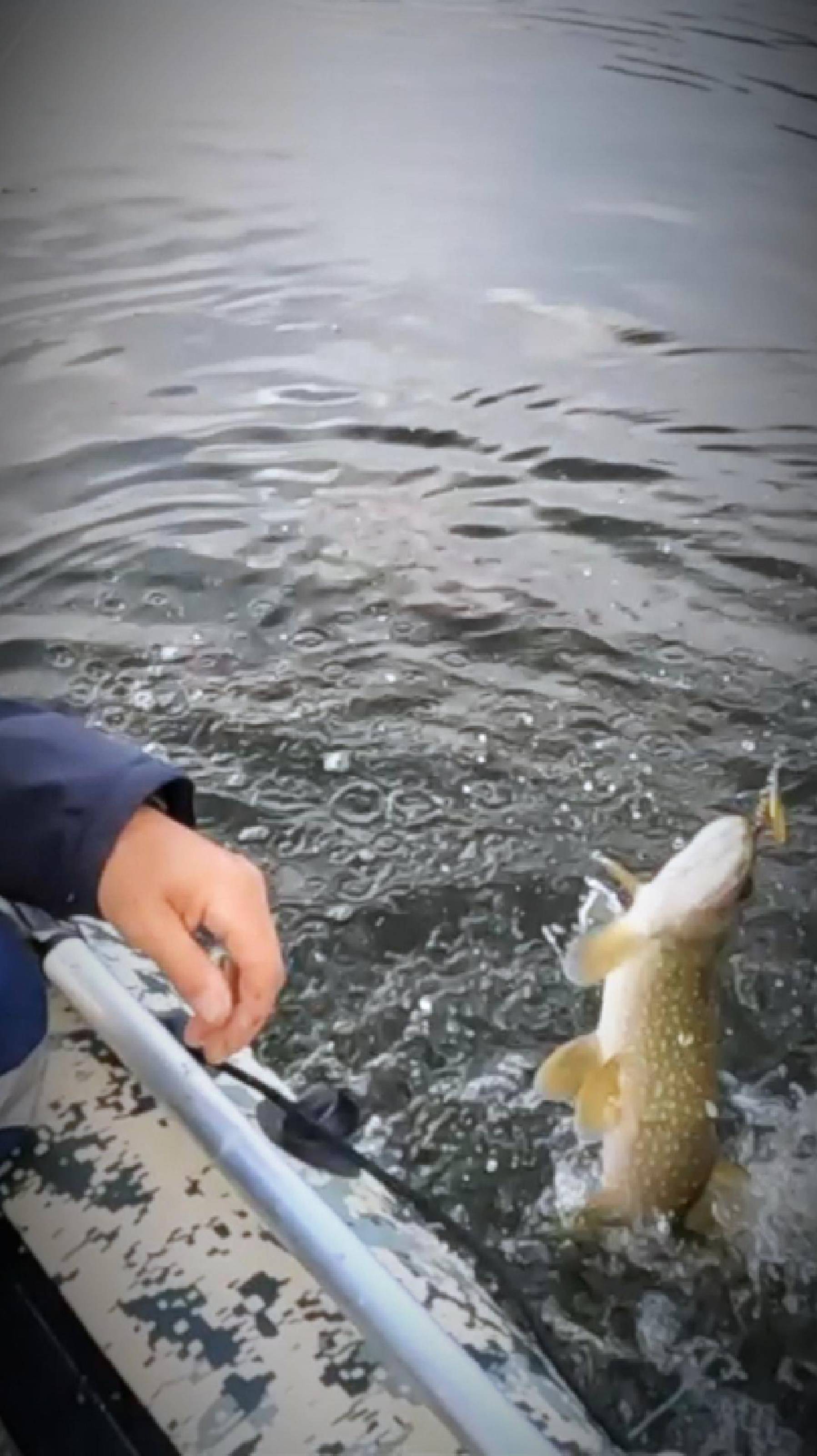 Перспективные места для ловли ЩУКИ на реке #рыбалка