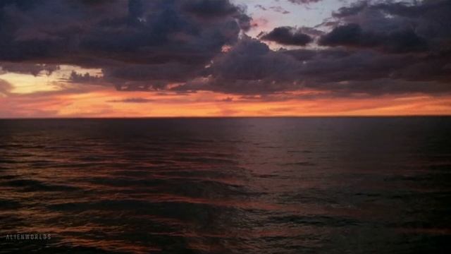 Manhunter (1986) ｜ Ambient Soundscape