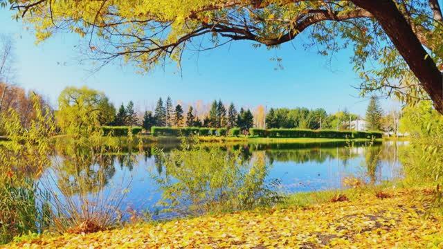 Осенние этюды. Вот и кончилось жаркое лето....