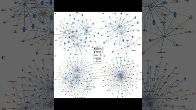 Как Небиволол может защитить мозг от Альцгеймера: Небиволол и новые стратегии профилактики