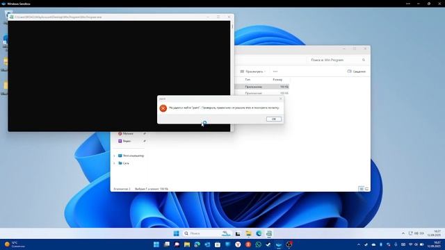 Тест моего трояна Win.Program