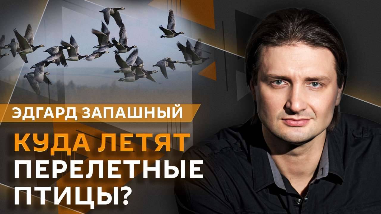 Эдгард Запашный. Куда летят перелетные птицы и о чем молчат медведи