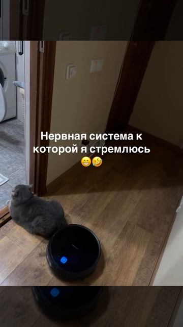 Идеальная нервная система