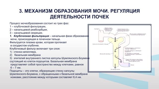 Жиленко ФЗ 2 3