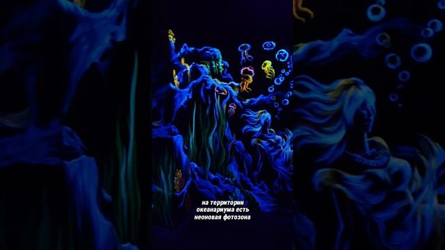 Океанариум Сочи 🌴 Обзор🙌 Как вам? Сходили бы туда?