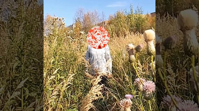 Девушка в поле запела на арабском