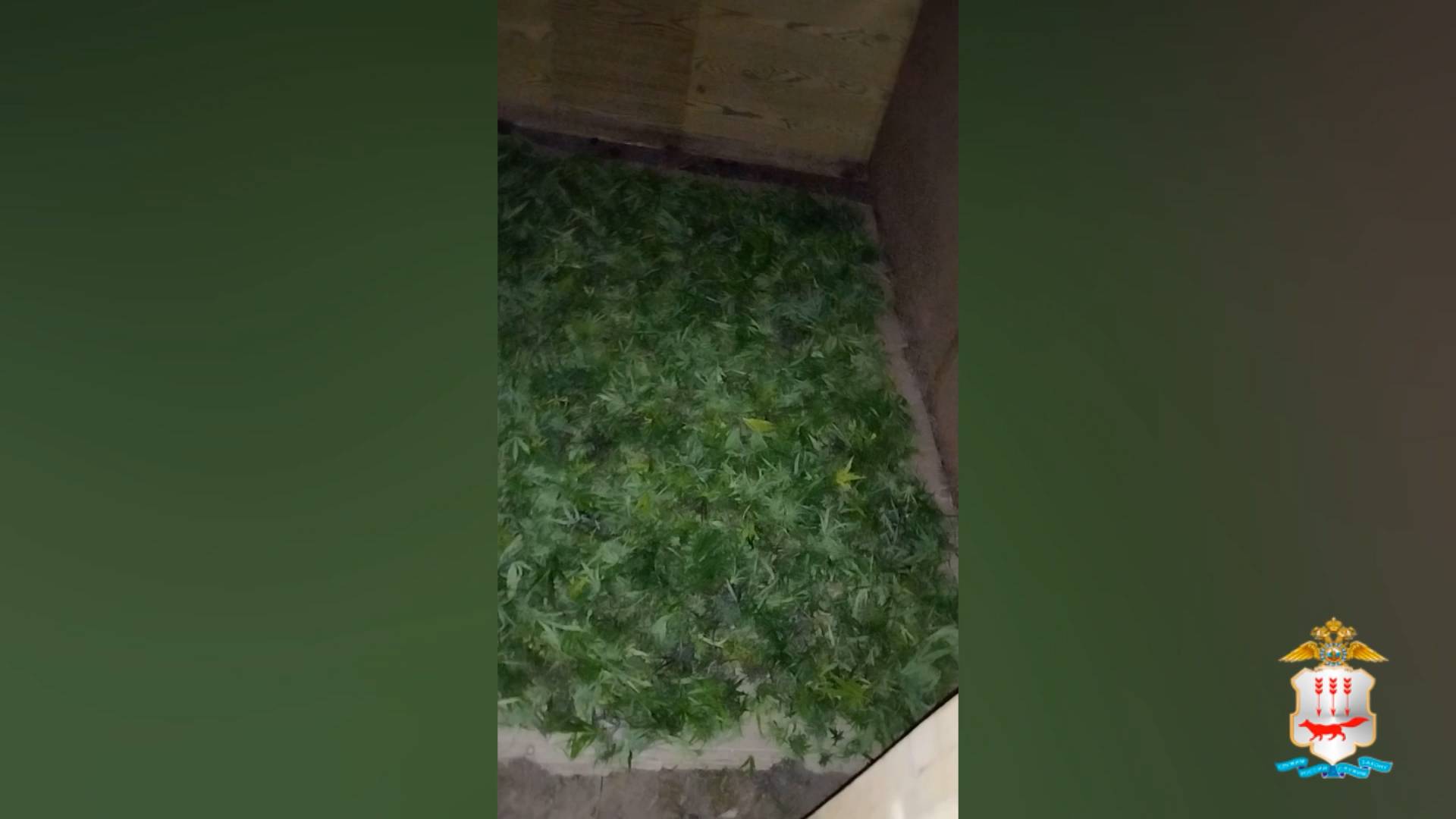 Ковер из конопли
