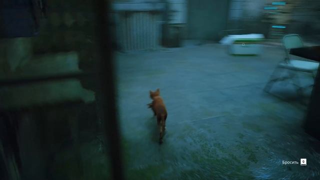 Stray #7