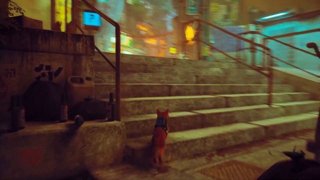 Stray #6