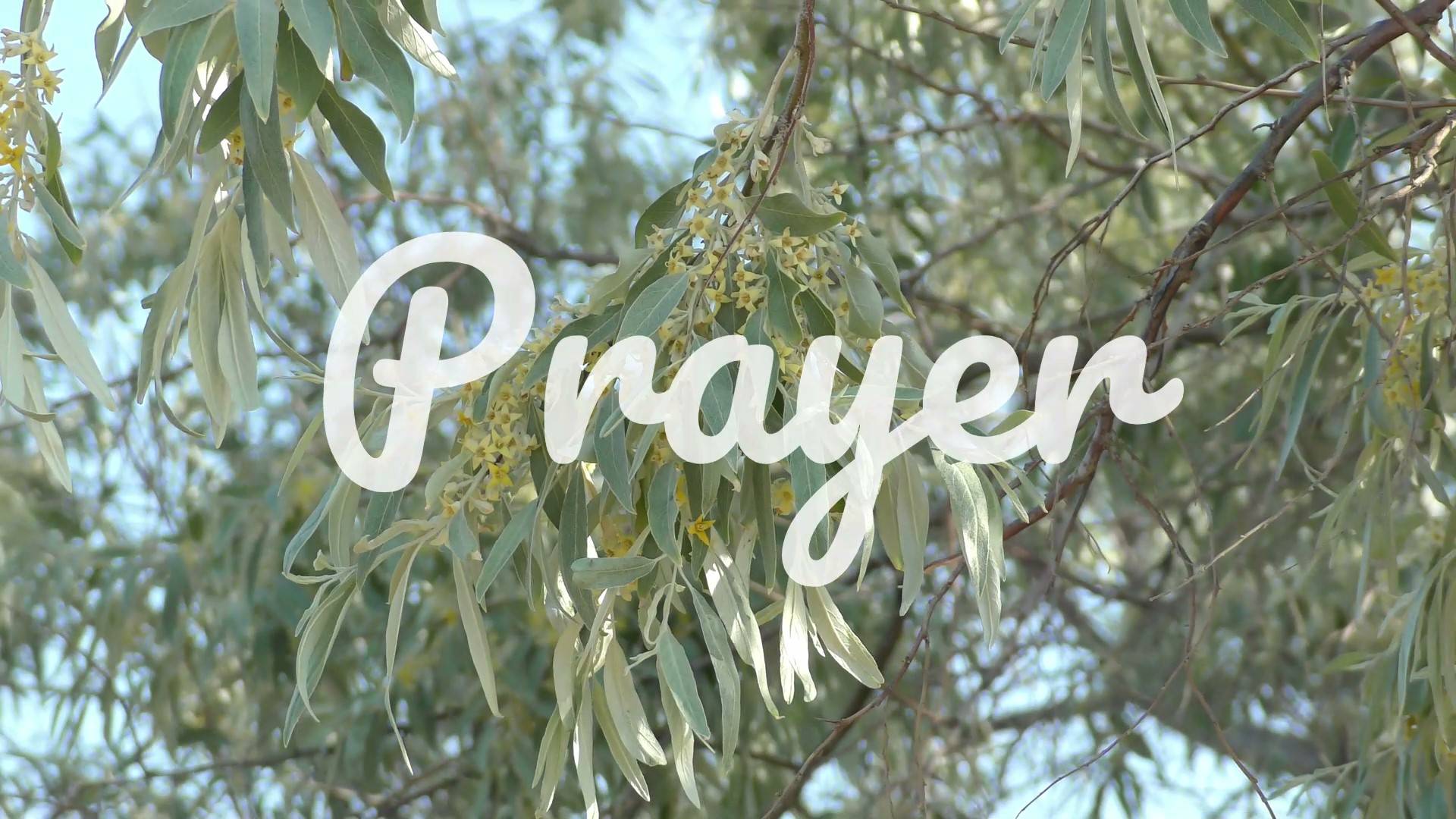 Prayer
