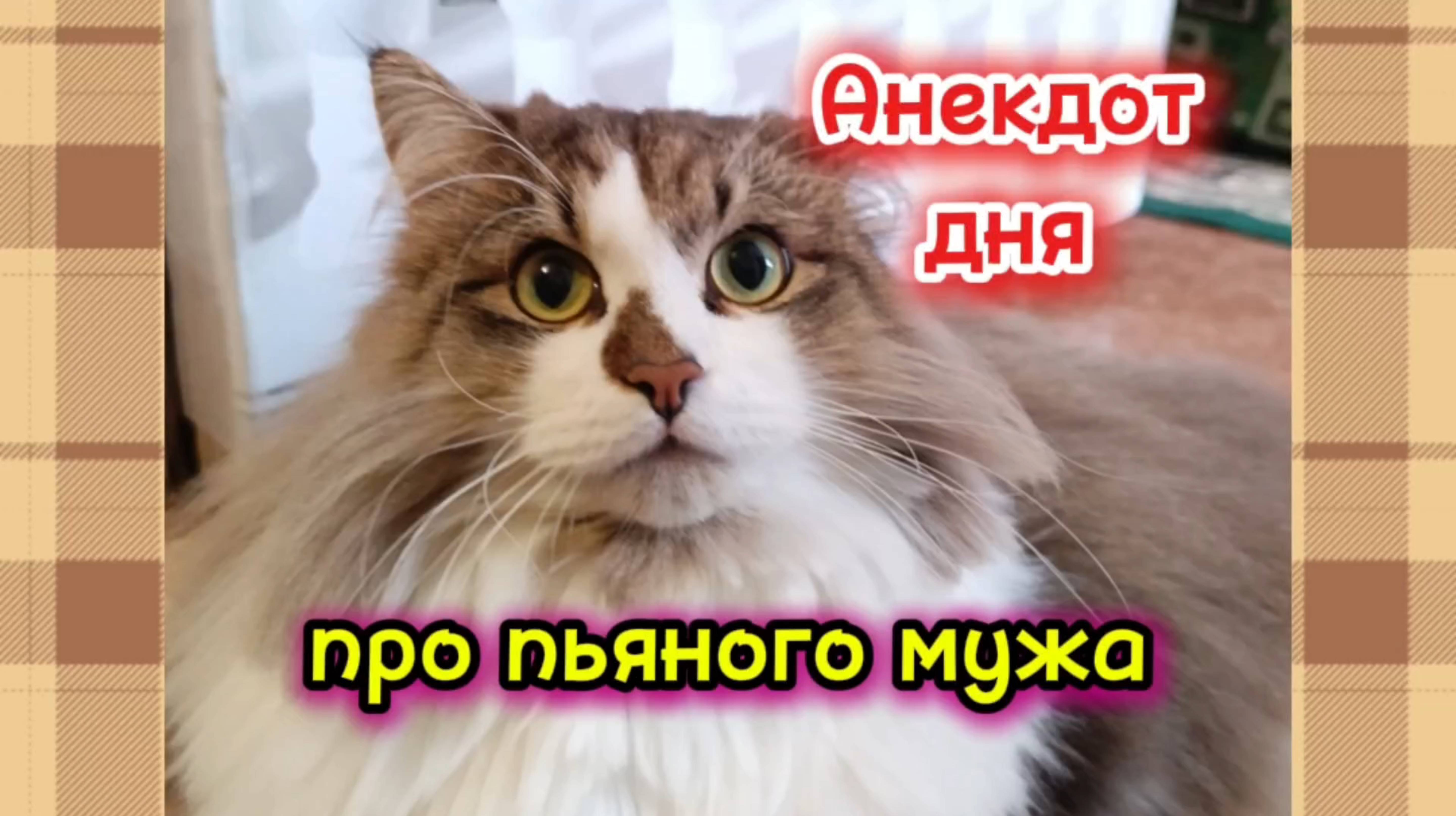 Анекдот дня.