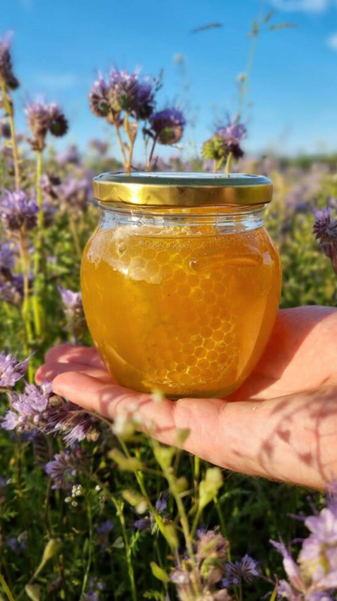 А вы видели как пчела создает горный мед