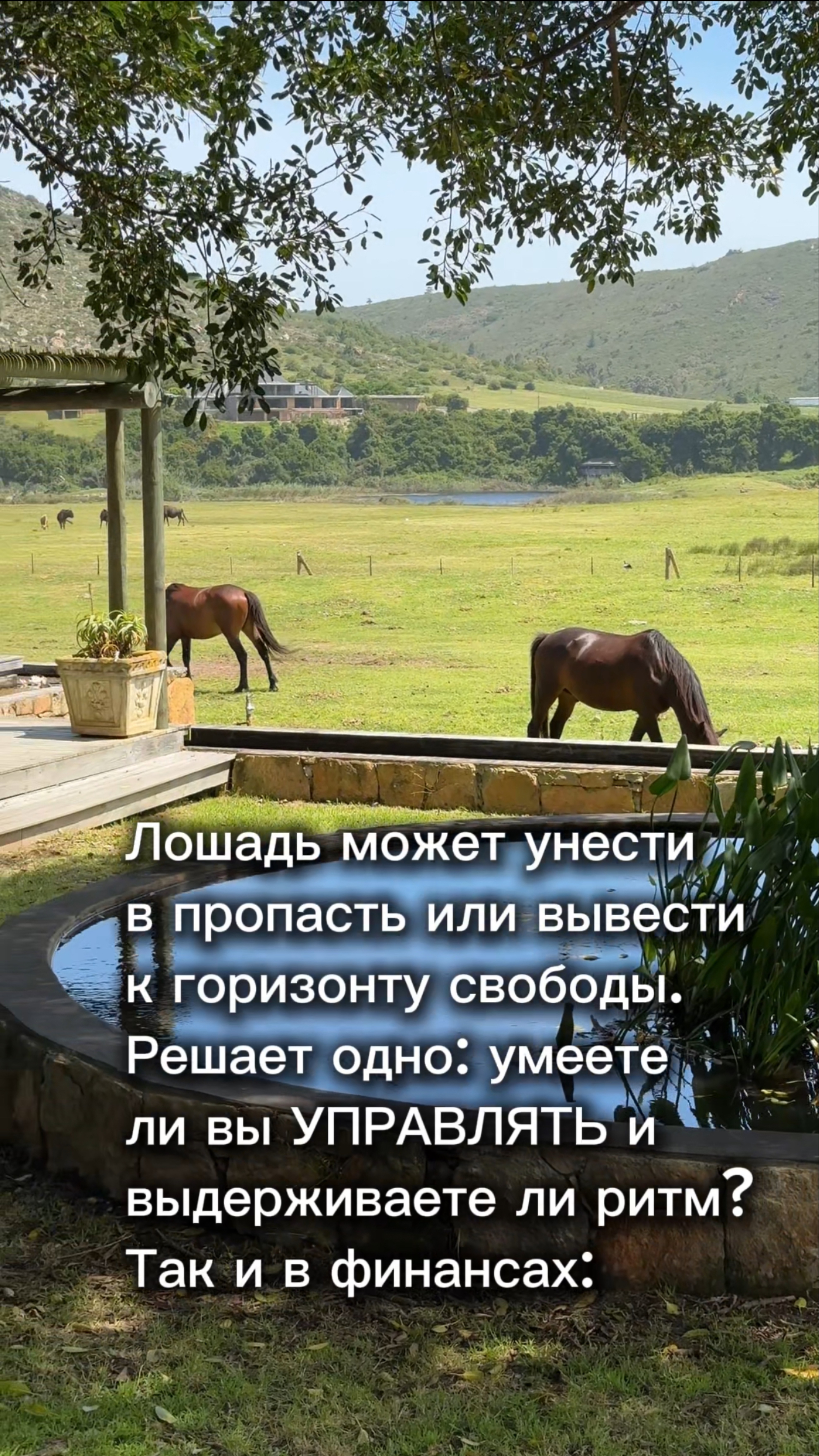 Когда система работает на тебя