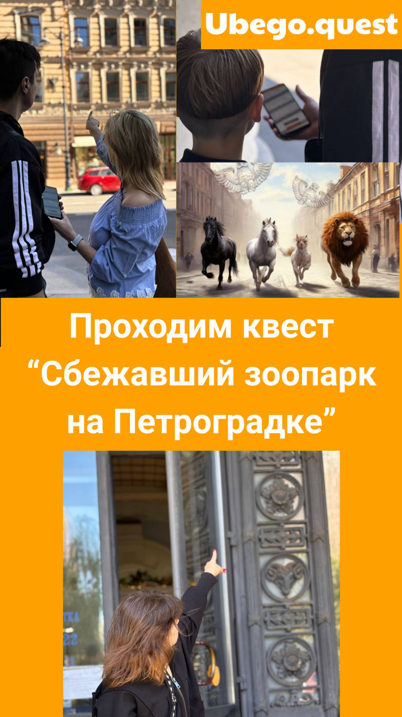 Проходим квест "Сбежавший зоопарк на Петроградке"