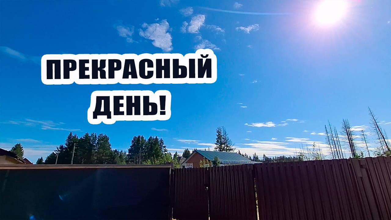 Прекрасный день! ☀️ Сходили с мамой на выборы и погуляли. Огородные дела 🍅🥒🌶
