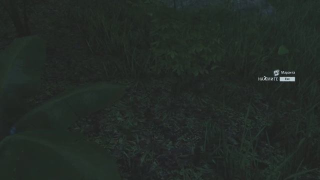 Прохождение Far Cry 3 Часть 1