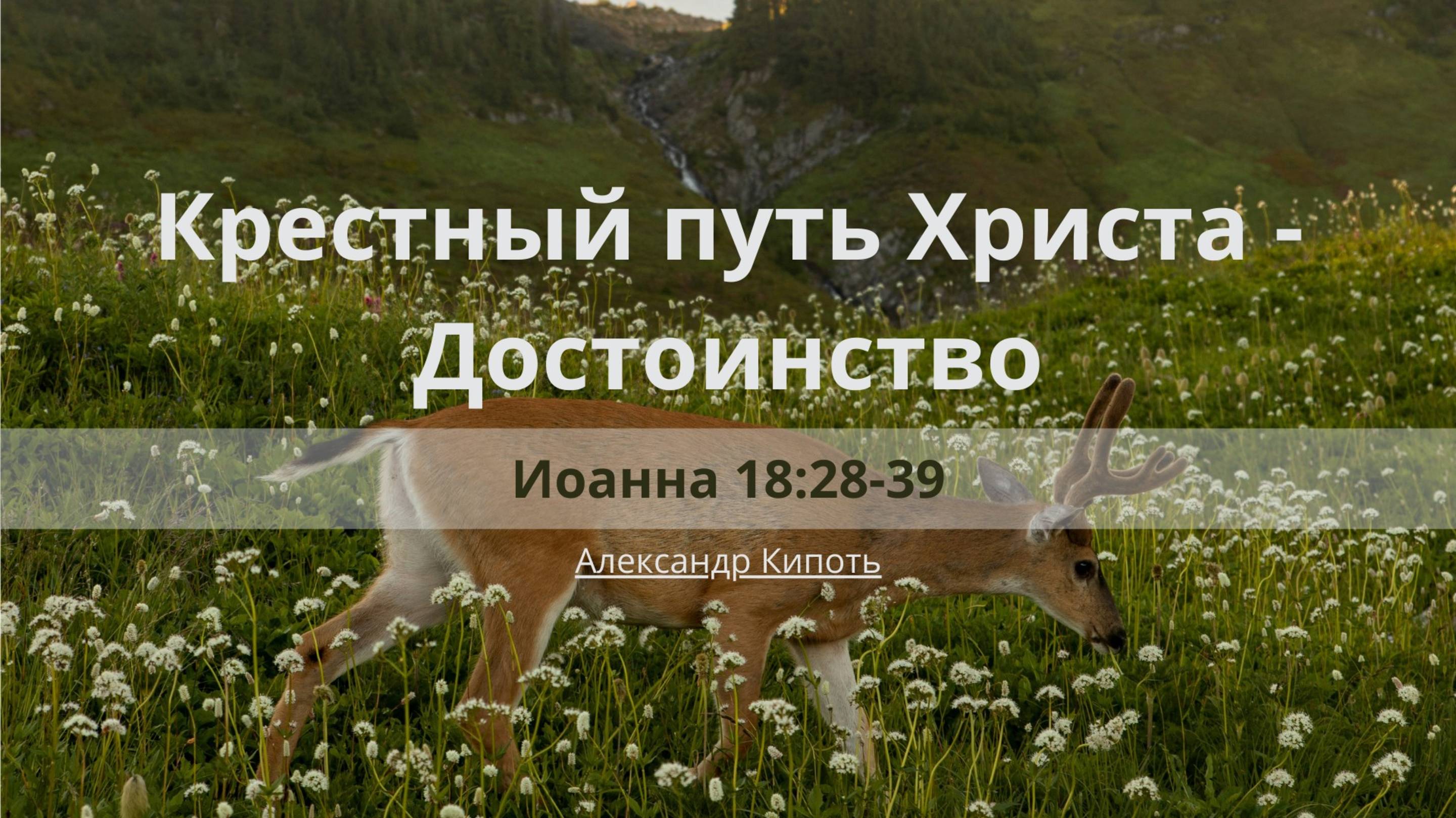 Крестный путь Христа - Достоинство | Иоанна 18:28-39 |Александр Кипоть