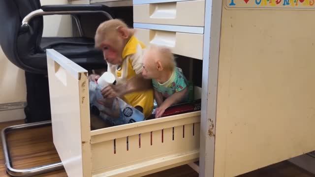 Обезьянка МАЛЕХА сама накормила БУКАШКУ кроху Сварила спагетти СМЕШИНКА