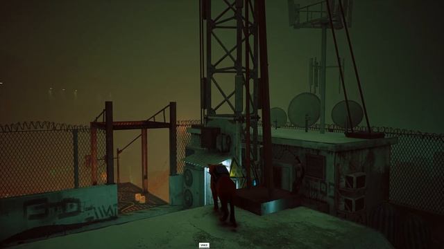 Stray #3