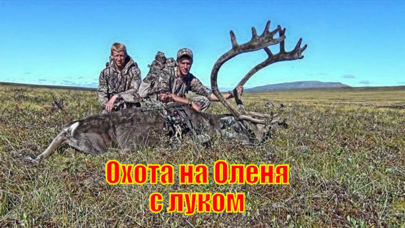 Охота на Оленя с луком