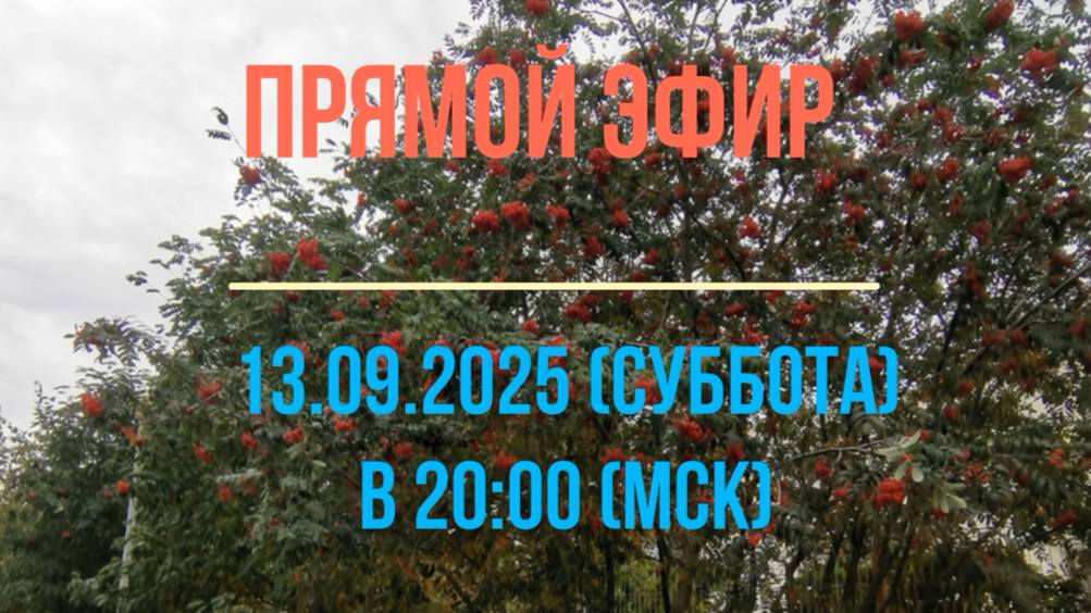 Анонс Эфира 13.09.2025