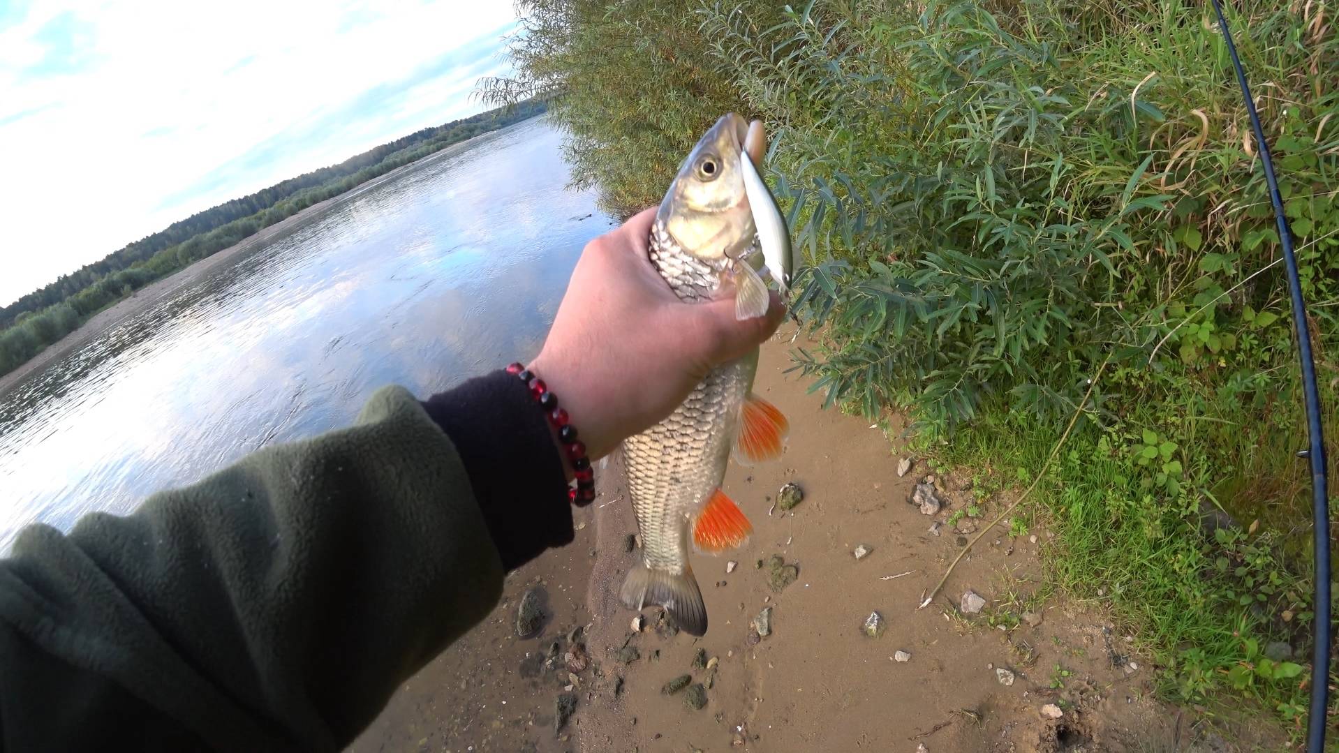 Рыбалка одного голавля. Трудовая рыбалка на Оке в начале сентября