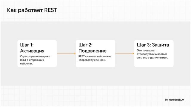 Адаптивный стареющий мозг