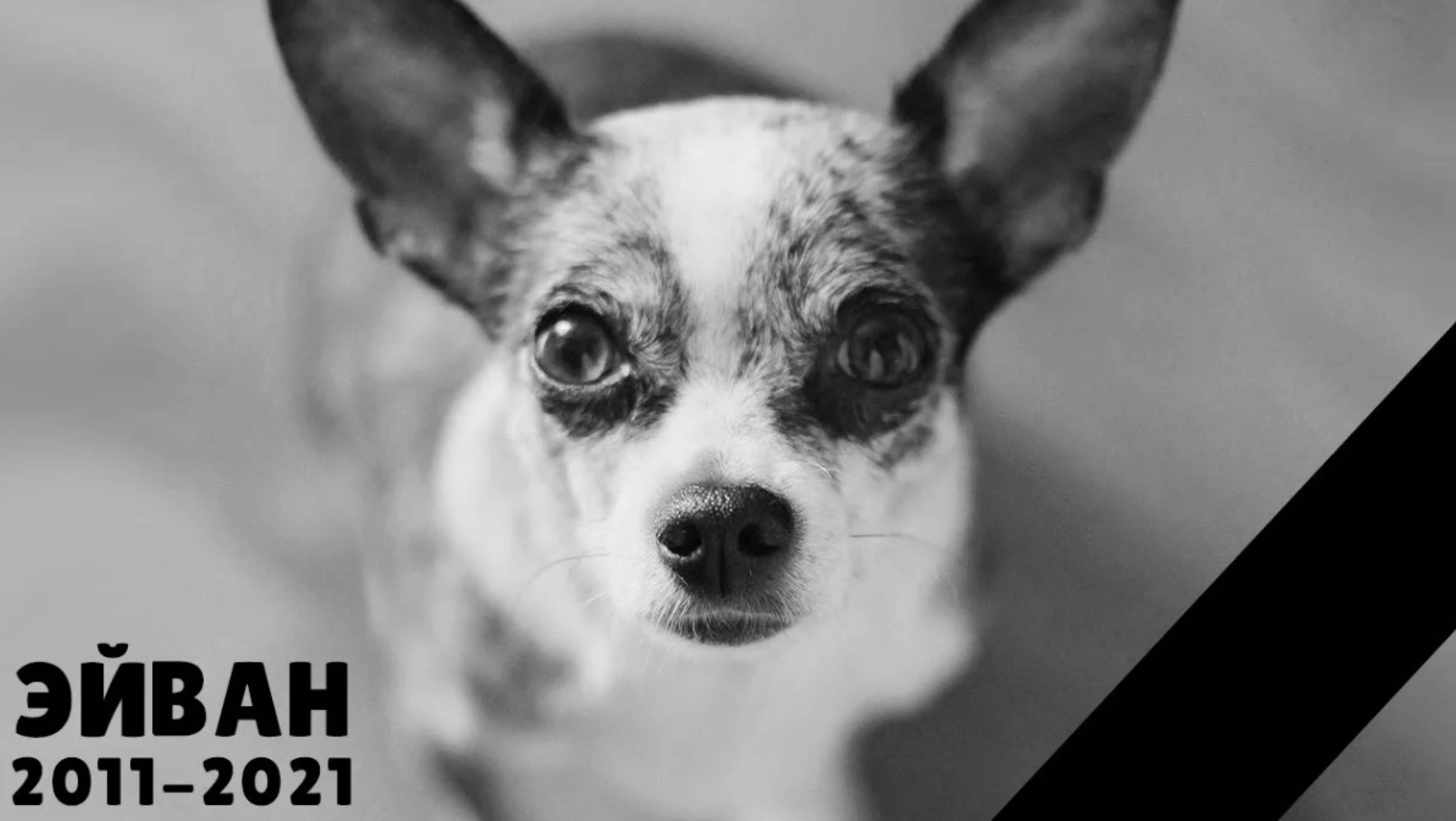 Прощай Эйван!!!!