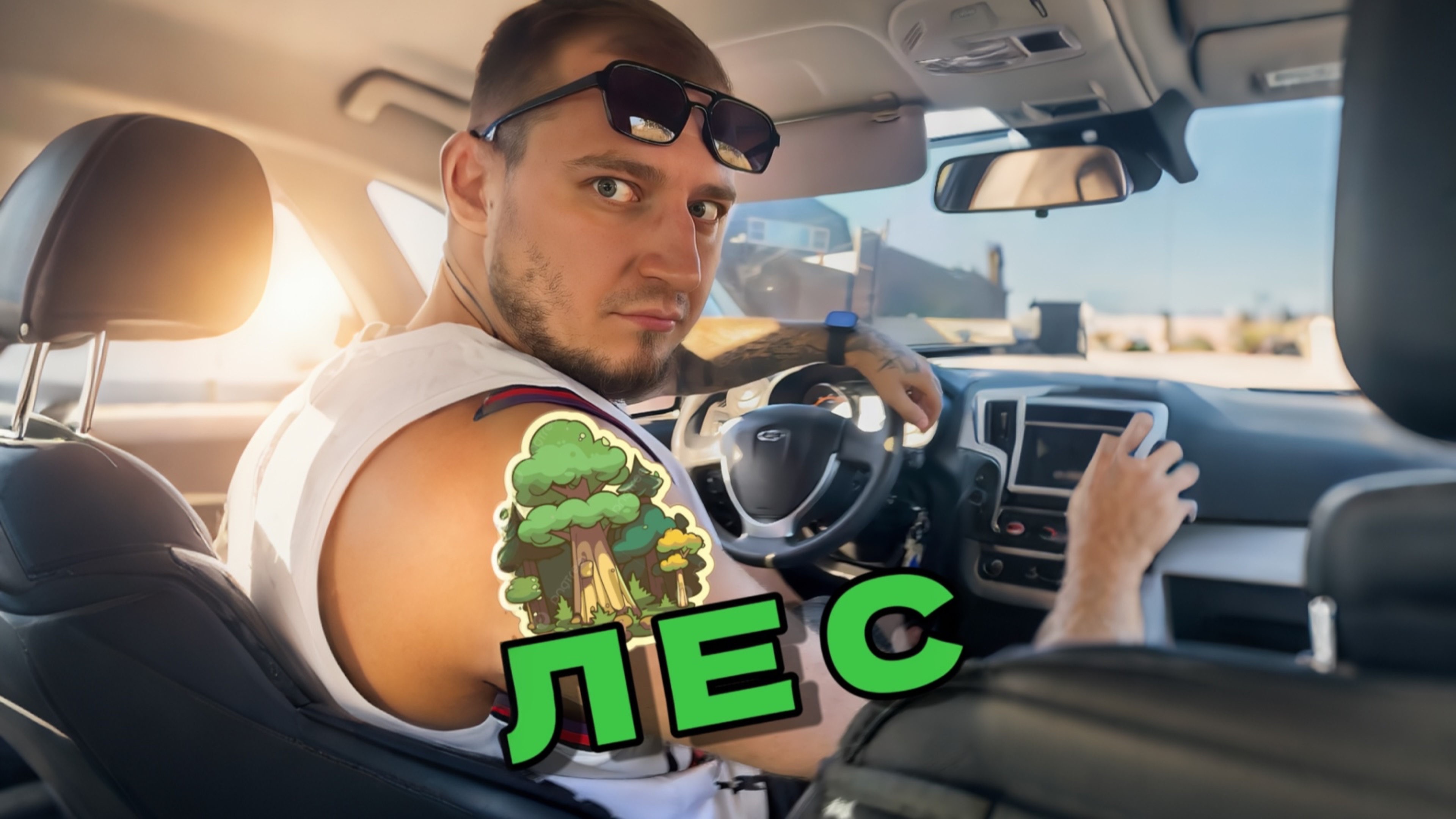 Лес #copypaster