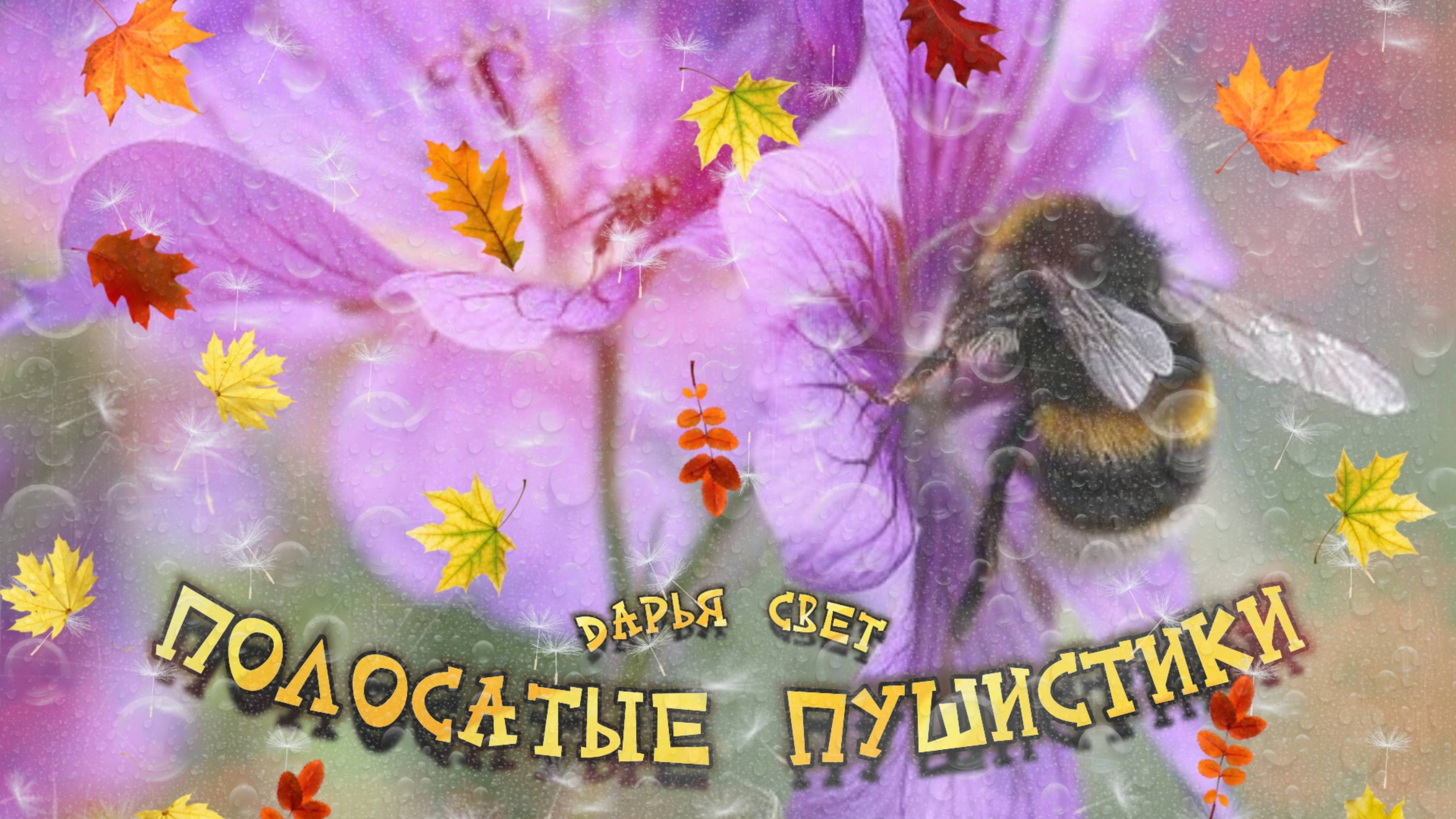 Шмель и цветок. Полосатые пилоты. Шмели. Цветы. Сентябрь 2025