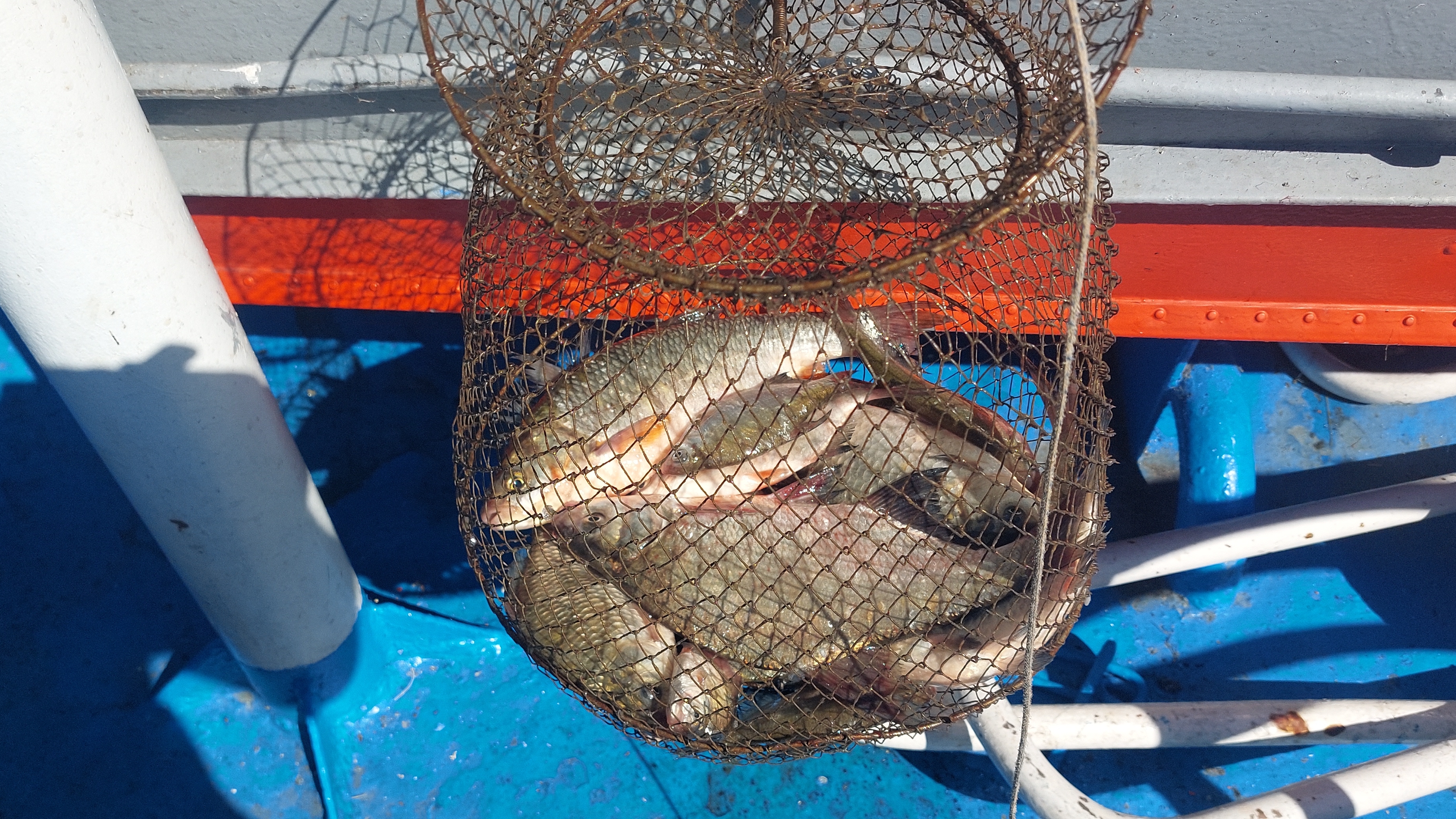 Ночная рыбалка в Астрахани