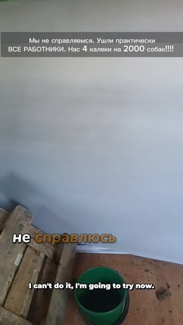 ИСТОРИЯ ВЫБРОШЕННЫХ В ПОЛЕ ЩЕНКОВ