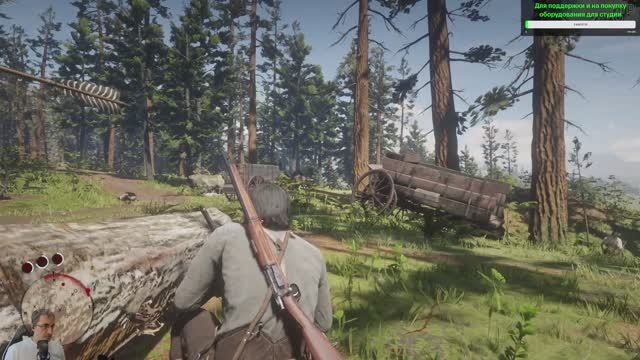Red Dead Redemption 2 - 020