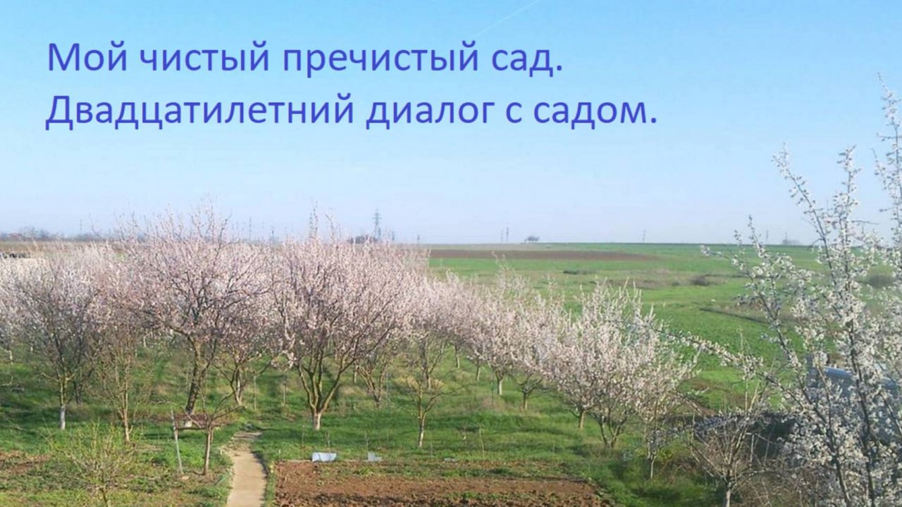 ч 14 Мой чистый пречистый сад Диалог длинною в двадцать лет .