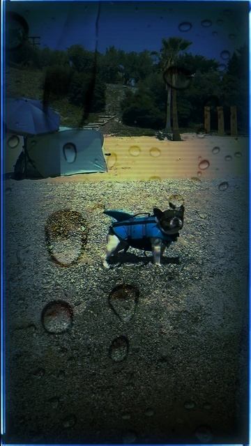 музыка  песня закаляйся видео юмор