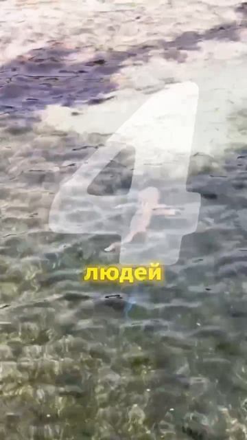 Кто хочет на Мальдивы?Подписывайтесь на меня, я рассказываю про отдых в разных городах