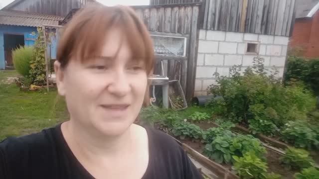Консервация/убрала лук/19-20 август 2025