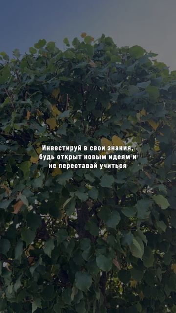 Чужие успехи — это не твой маршрут, но обучение и развитие СЕБЯ крайне важно!